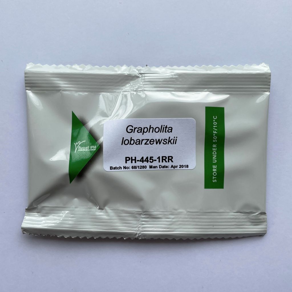 Kleine fruitmot (Grapholita lobarzewskii) 2st. – Fruitconsultwebshop